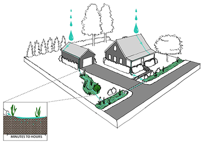 Build it and Clean Water will Come! | Horsley Witten Group